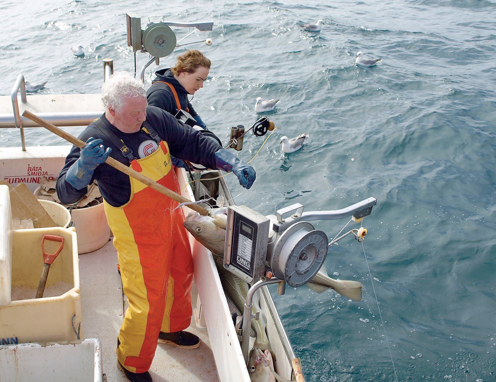 Matís and the National Association of Small Boat Owners hold courses ...